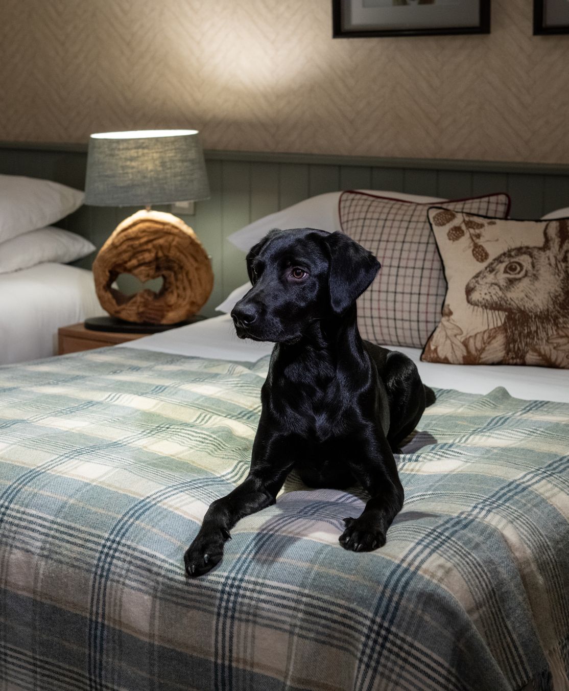 Spring at The Lister Arms, Malham