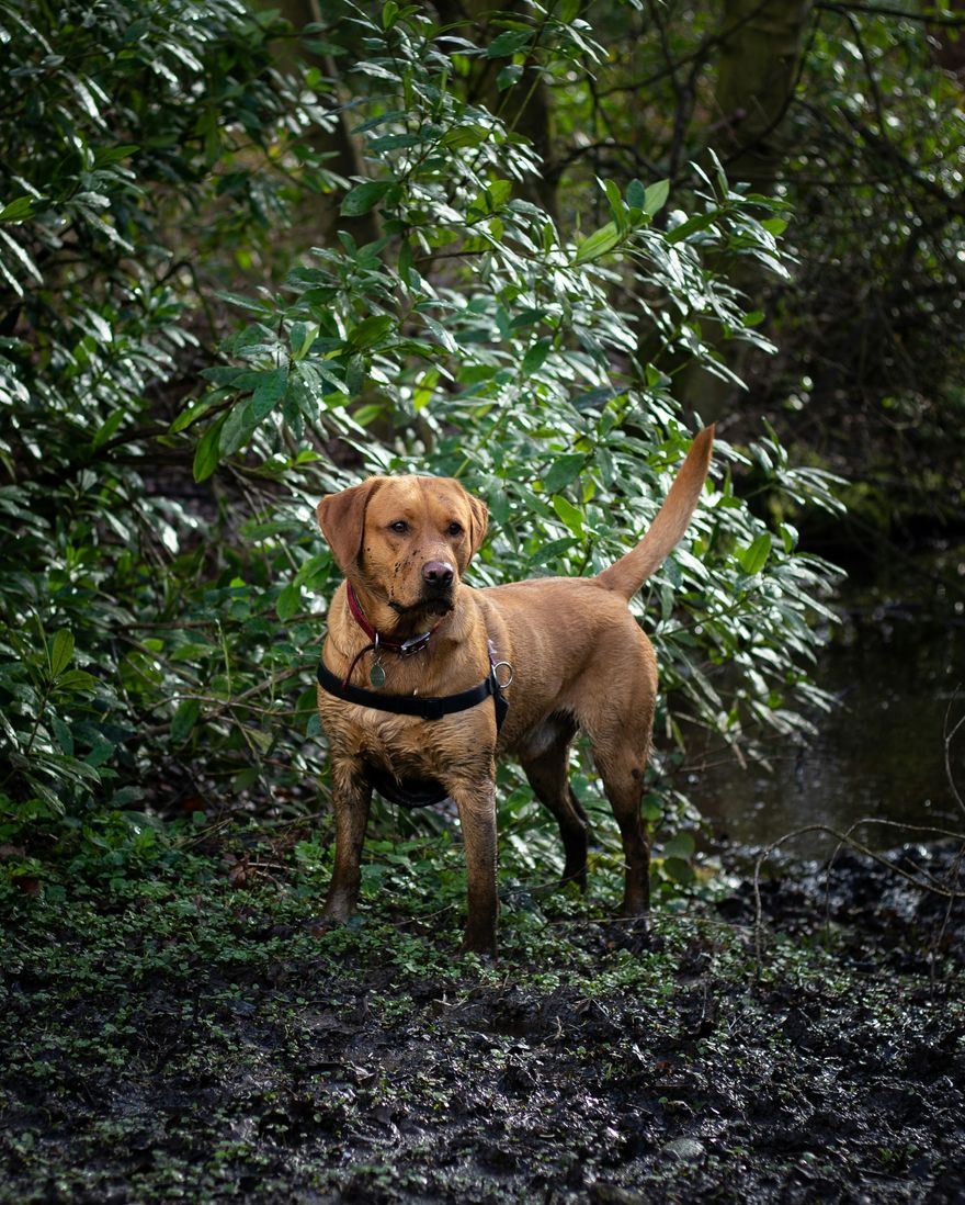 The Lister Arms, Malham | Boutique Yorkshire Dales Inn